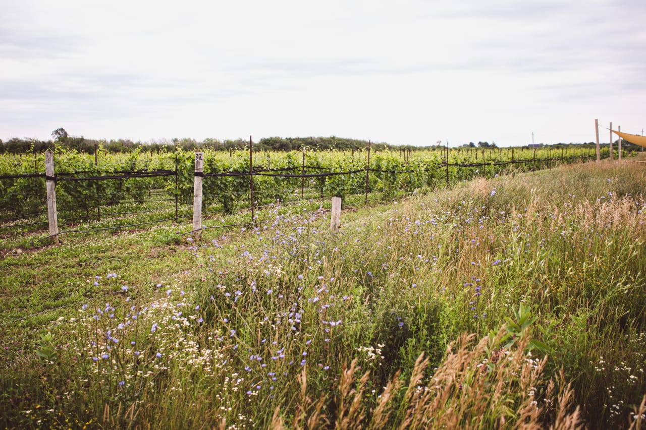 Trail Estate Winery | Visit the County