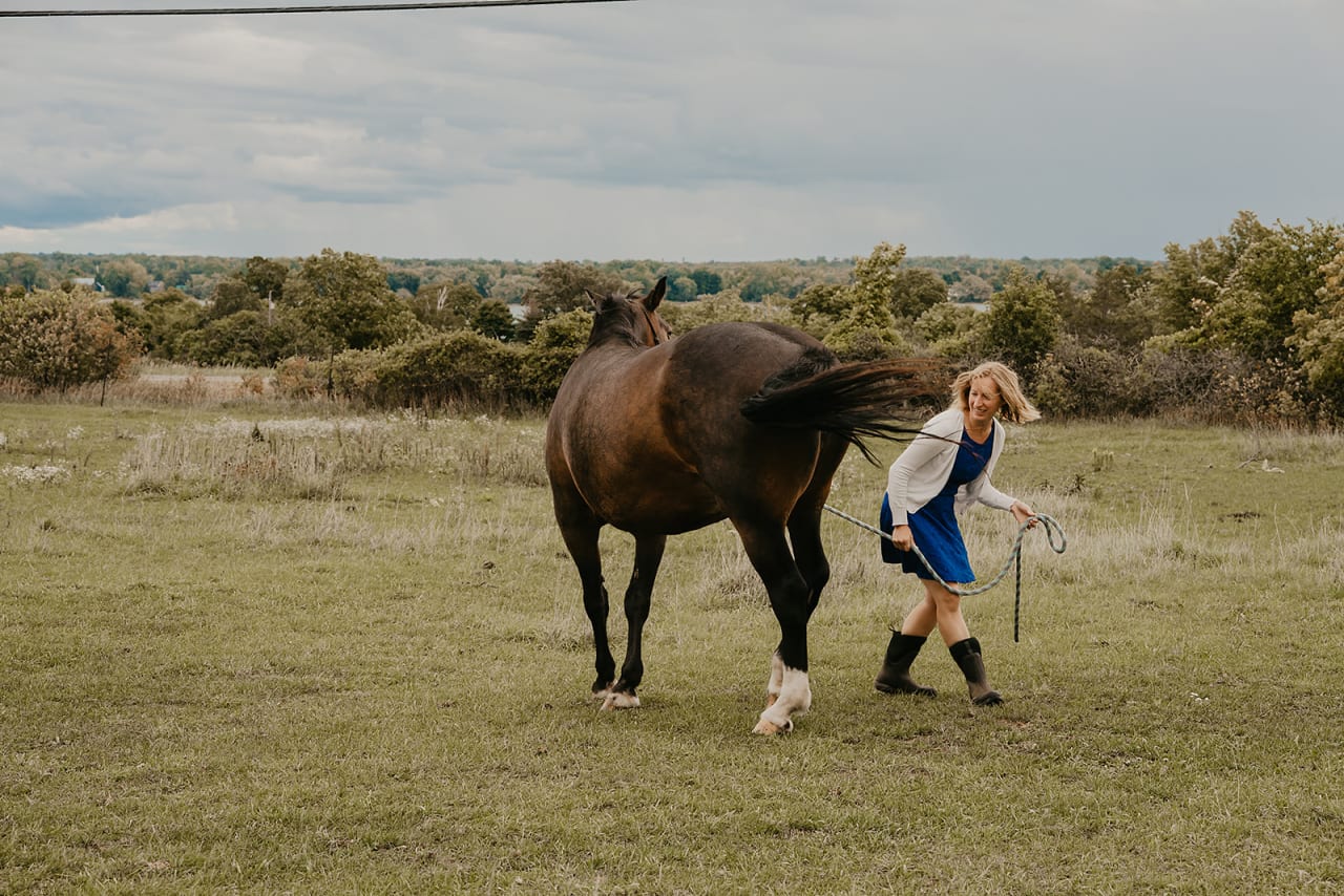 Loving Truth Farm | Visit the County