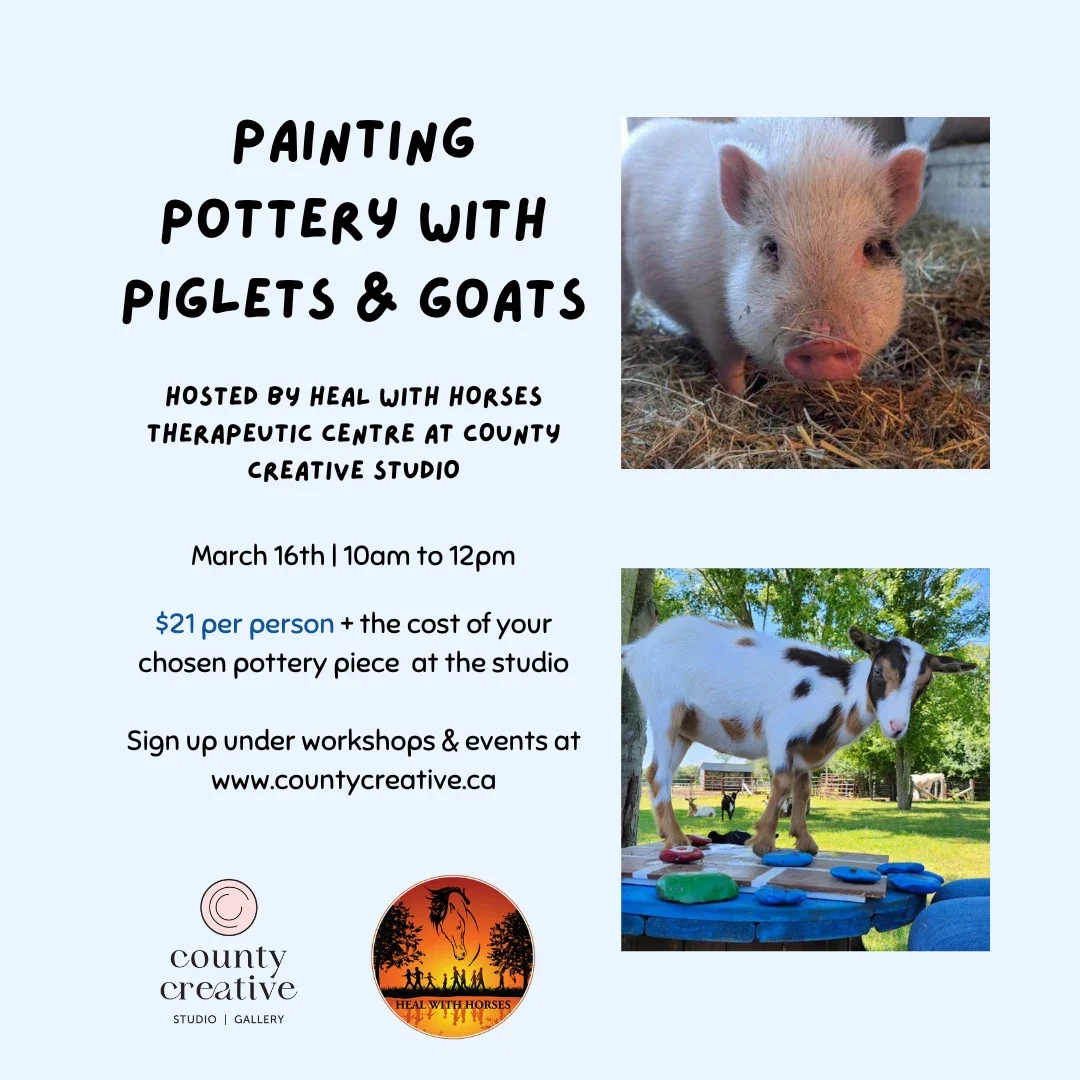 Painting Pottery with Piglets & Goats! 🐷🐐 | Visit the County