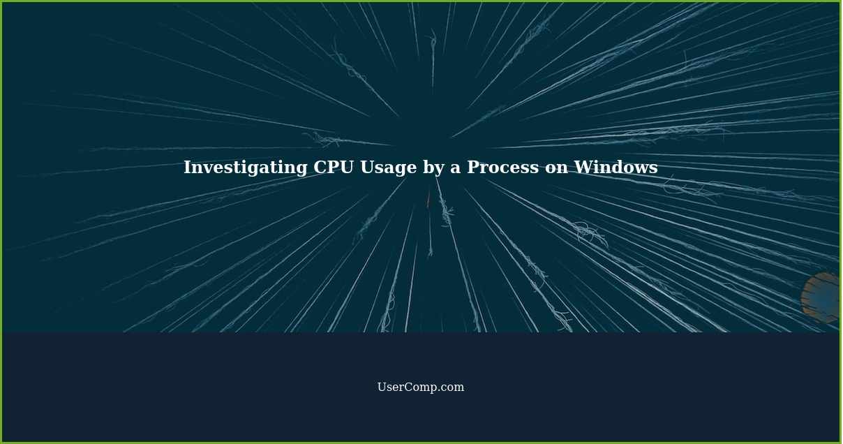 How to investigate continuous cpu usage by a process on Windows