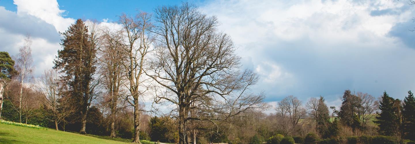 Orion Health appoints Mark Hindle as vice president, UK and Ireland ...