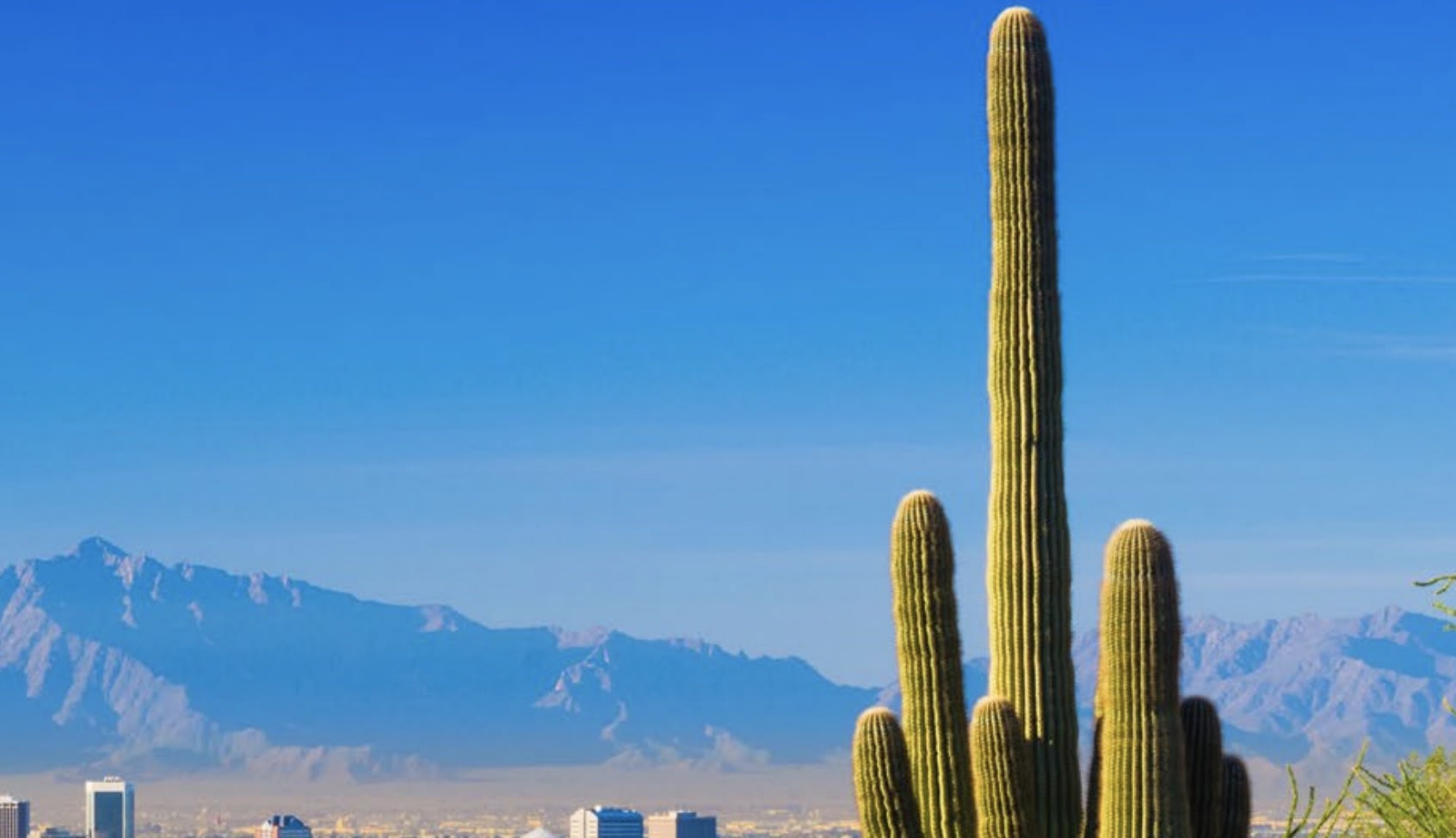 Innovation Care Partners leverage a population health management ...