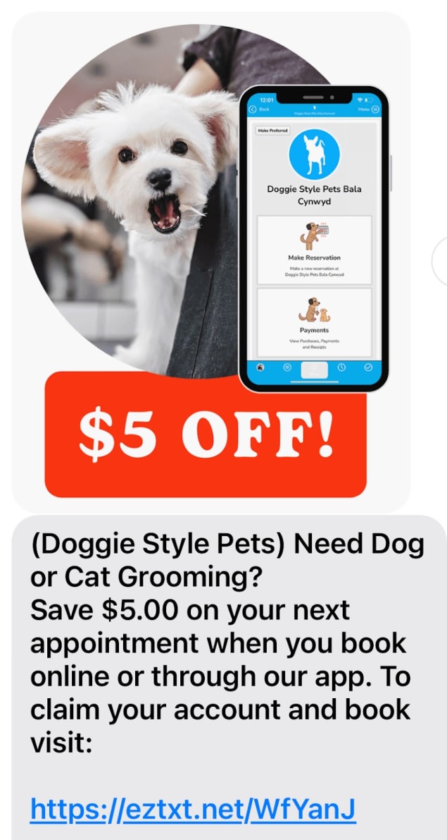 MMS in Marketing (With Examples) - How & Why | Voxie | Voxie