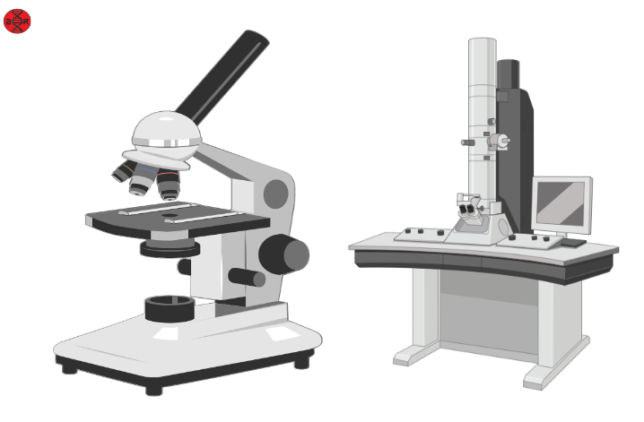 Light Microscopy Vs Electron Microscopy - Understanding the Differences ...
