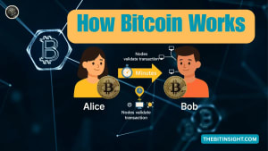 Crypto Insights, Bitcoin Trends & Crypto Market Predictions