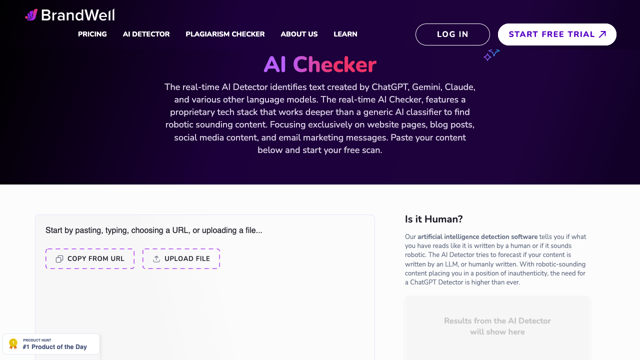 AI Detector - Real-time AI Checker and ChatGPT Detector - AI Tool Review | Coding180