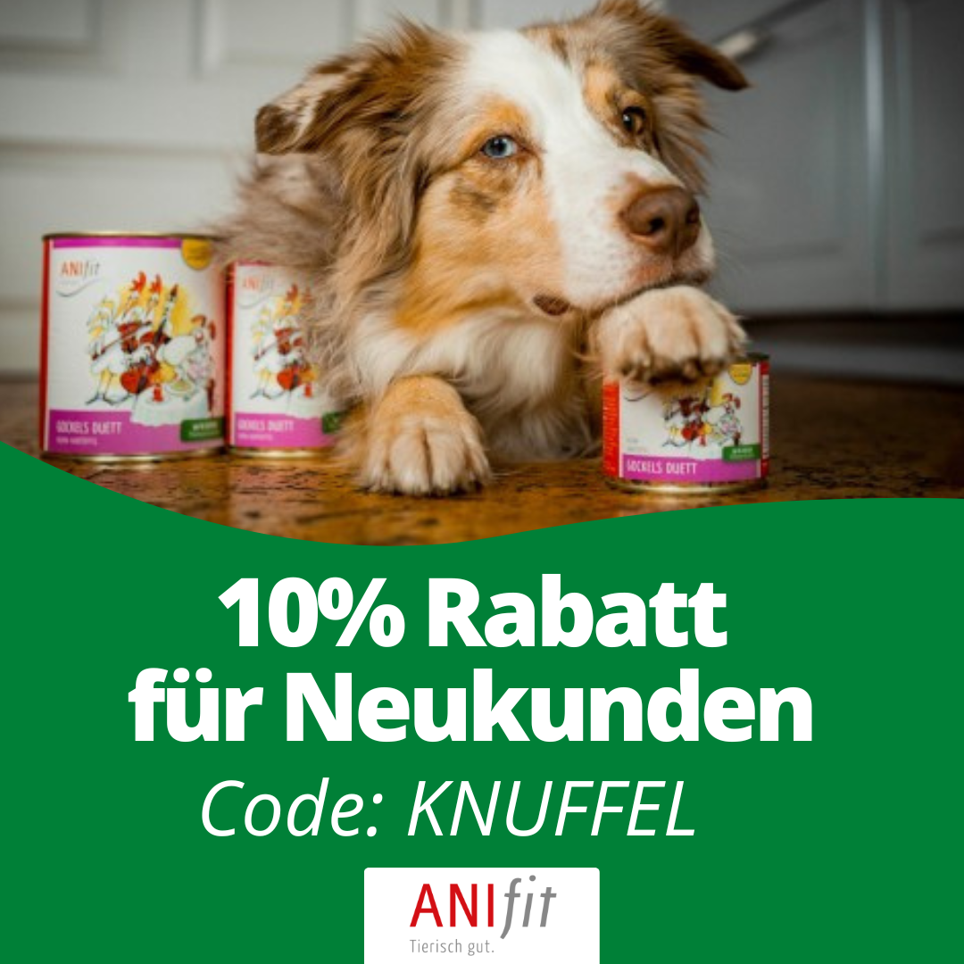 www.frisches-futter-shop.de | Hundefutter & Katzenfutter von Anifit