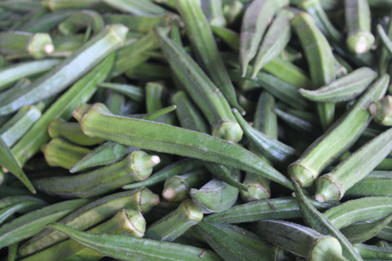 Sakkat Soppu - Fresh from Farmers