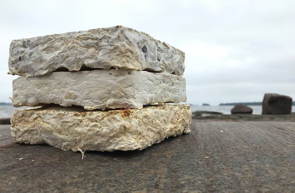 Mushroom insulation wins global award | BIM+