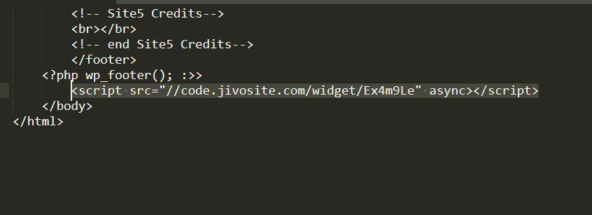 How to install the chat code on Wordpress