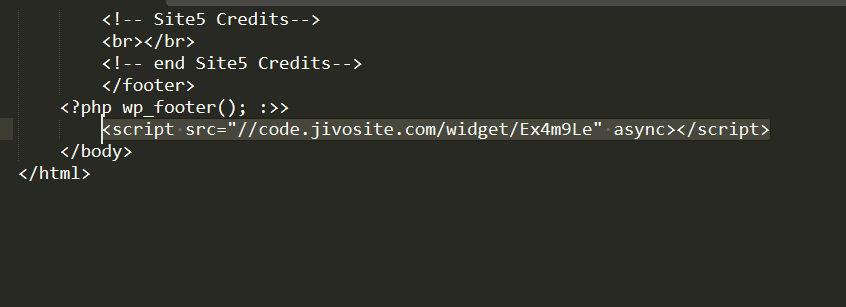 Como instalar o código do chat no Wordpress
