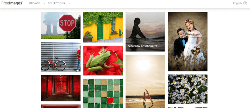 16 Websites Where to Find Copyright Free Images