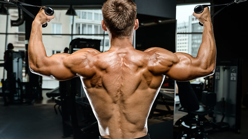 Planilha de treino musculação: 5 melhores opções |JivoChat