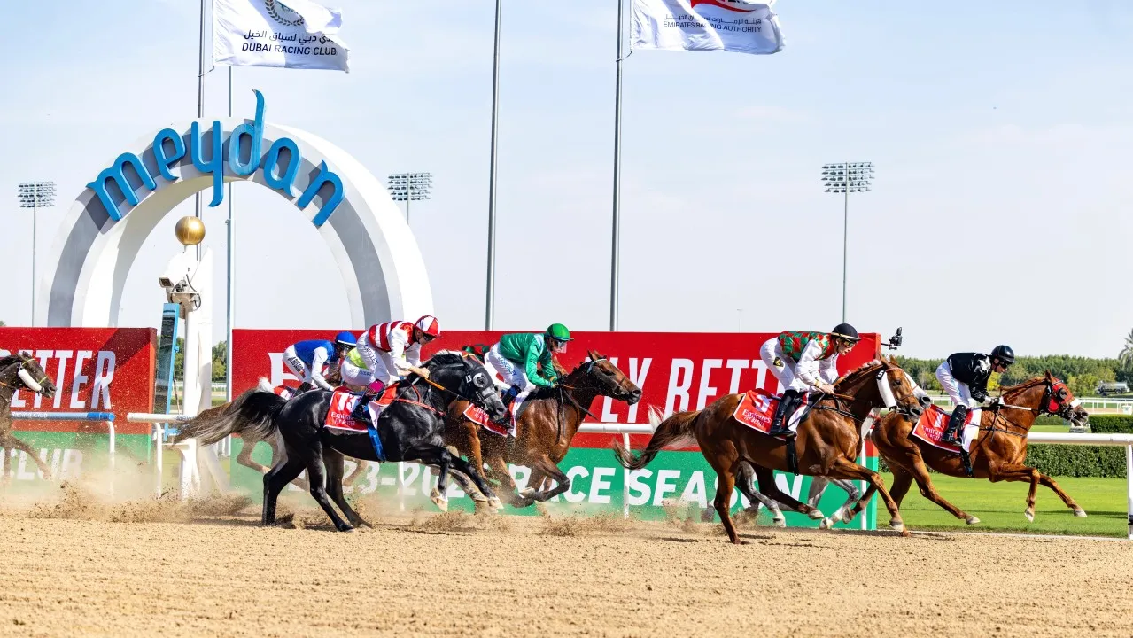 Dubai Racing Carnival in the UAE — Full Guide to the World-Class Racing ...