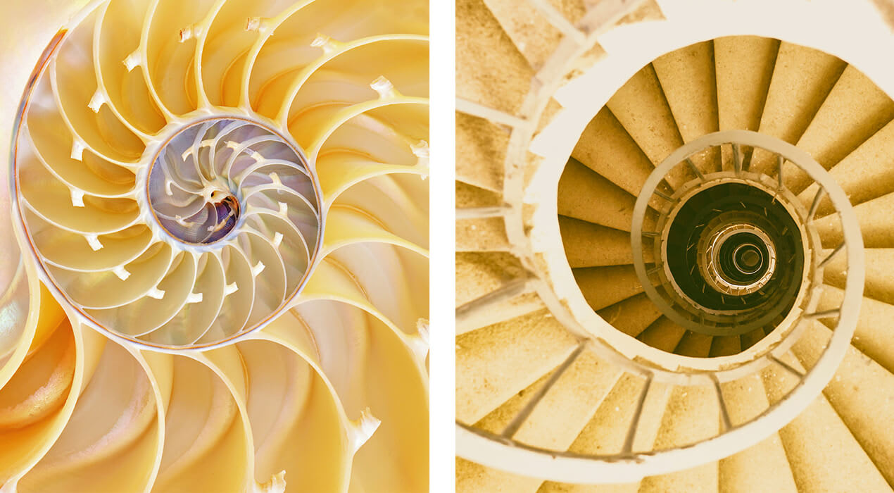 Designing with Life - Palette69