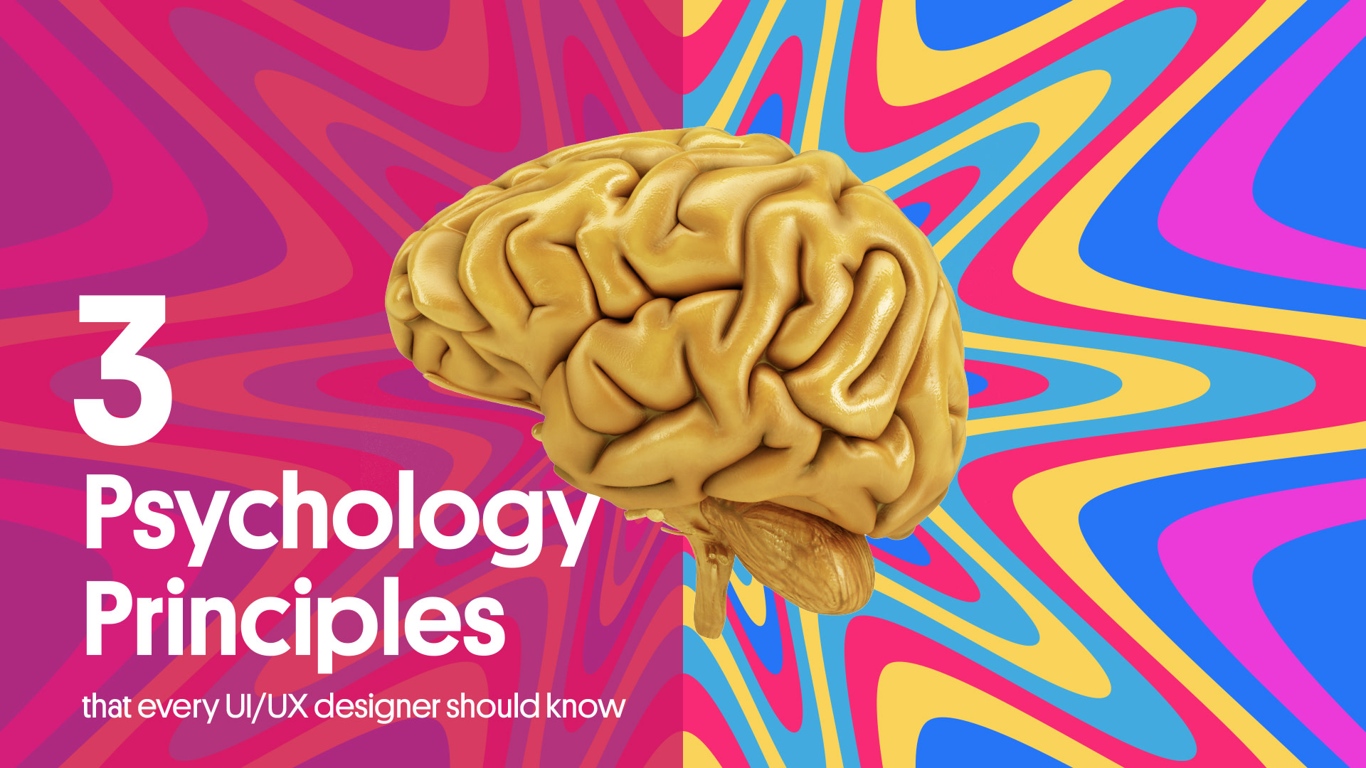Top 3 Psychology Principles for UI/UX designers - Palette69