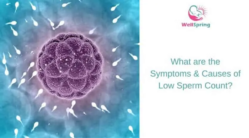 Know What are the Symptoms & Causes of Low Sperm Count?