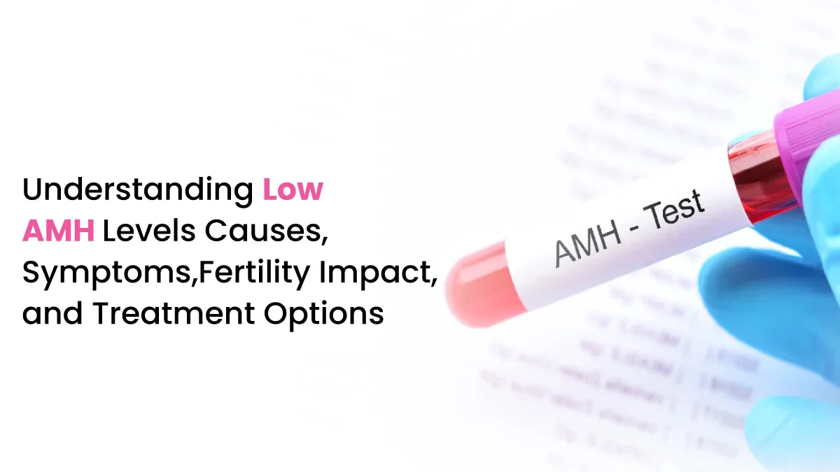 Low AMH Levels: Causes, Symptoms, Best Treatments in Ahmedabad ...