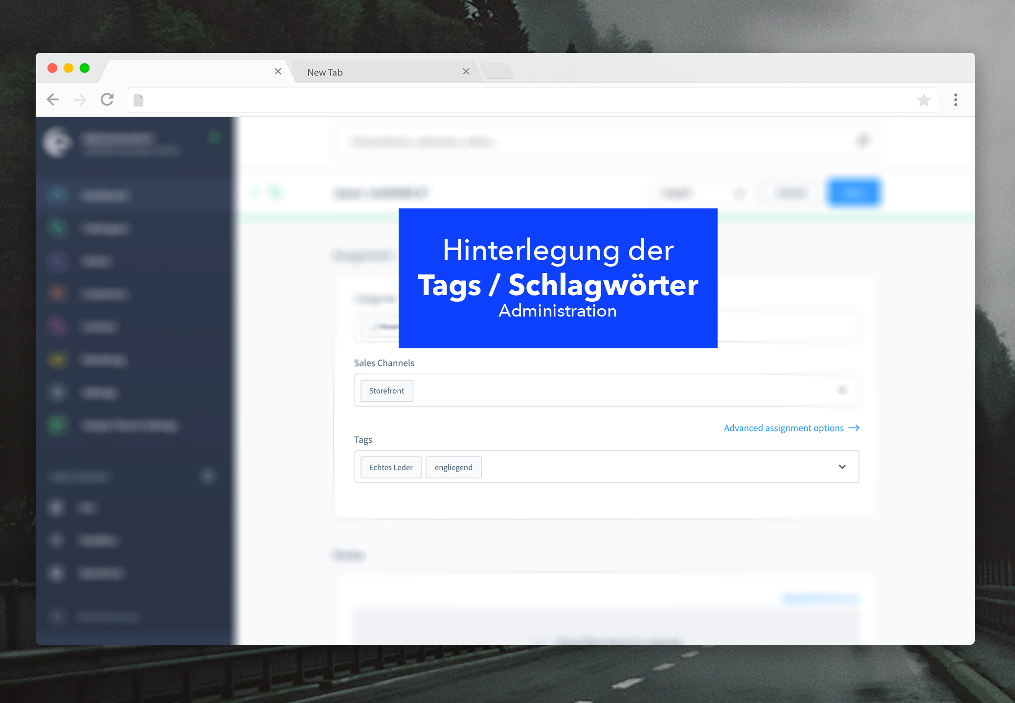 GitHub - Shape-and-Shift/shopware-tags: A simple Shopware 6 plugin to show tags within your ...