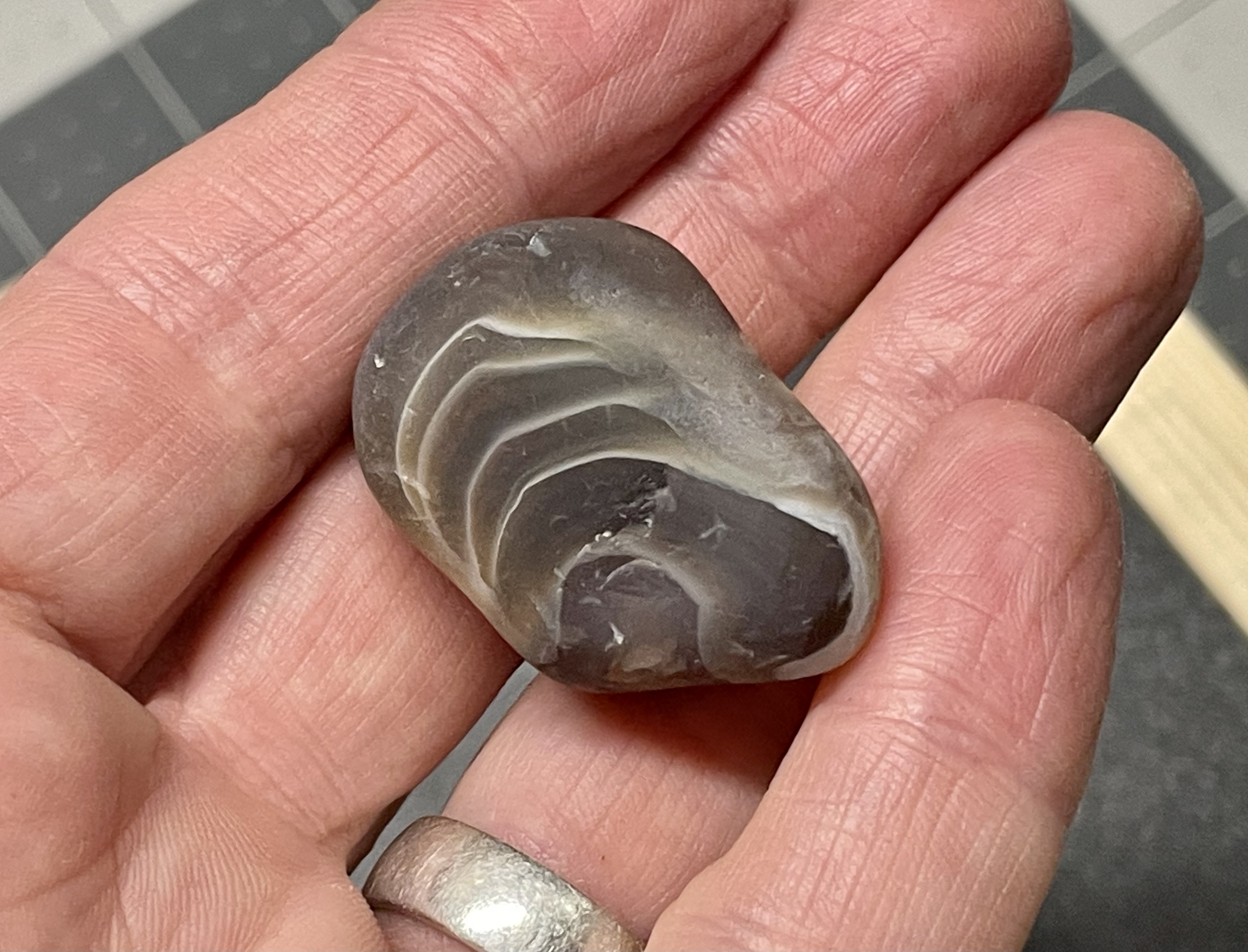 Striped and banded chert and other rocks | Rock Tumbling Hobby