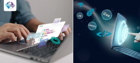 Full Stack vs. Front End vs. Back End Developers | Vlink