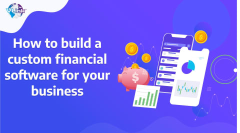 Building Custom Financial Software | A Comprehensive Guide | Vlink