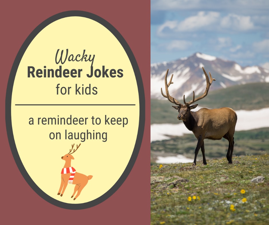 Rude Reindeer Jokes