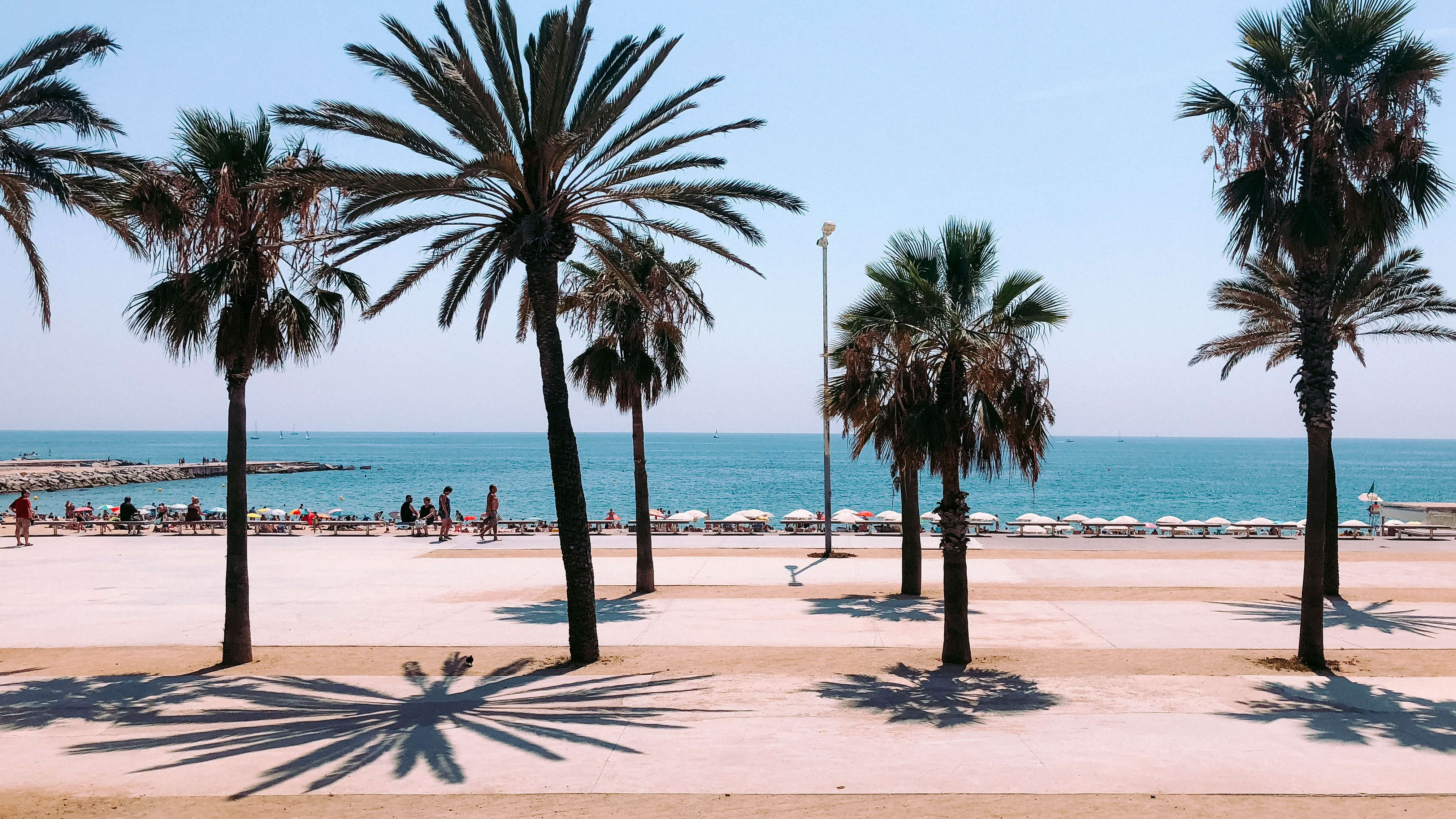Barcelona Beach 8 Best Beaches In Barcelona For Swimming & Cleanliness