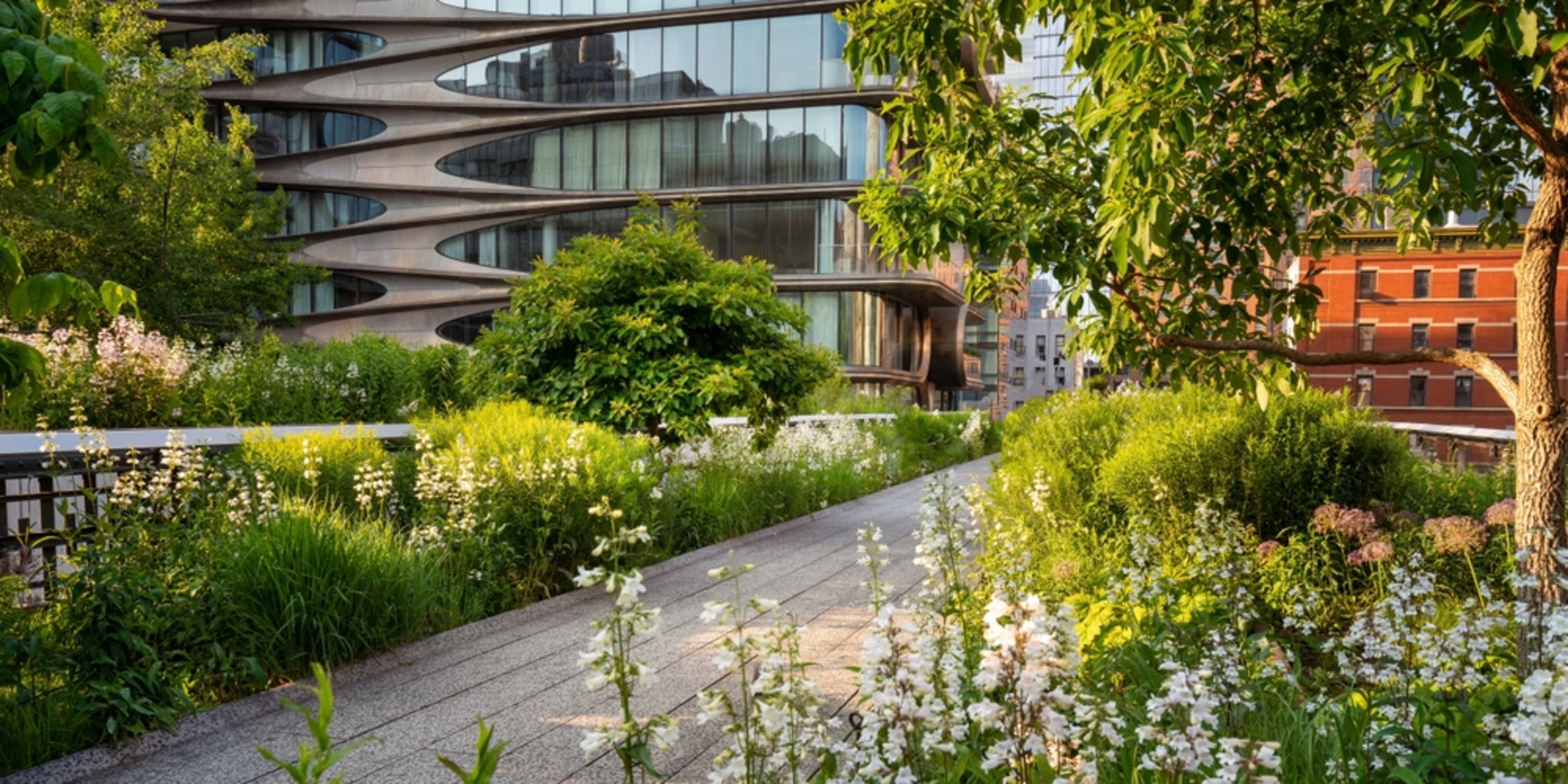 A Guide to the High Line in New York City | Go City®
