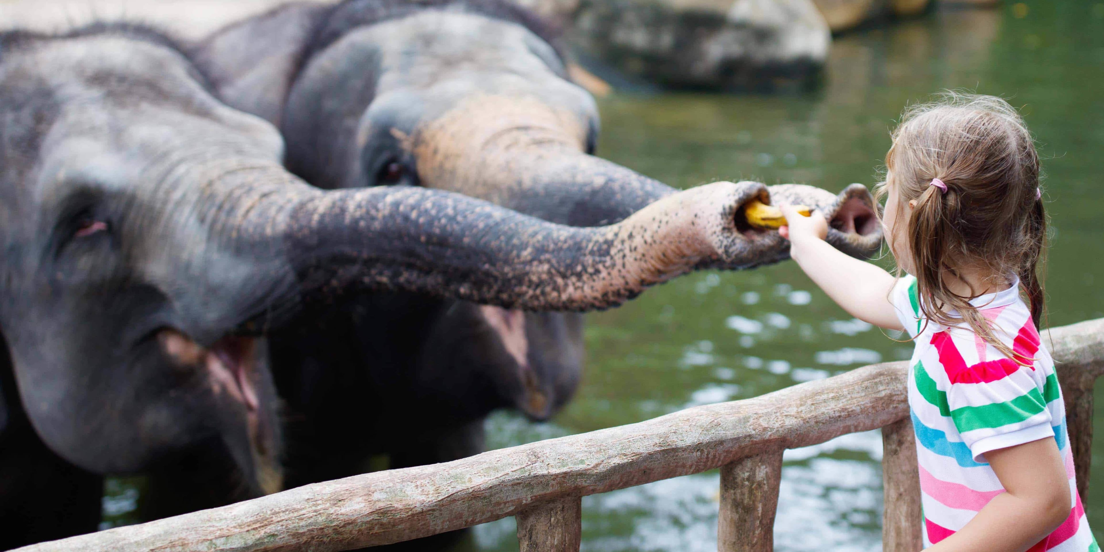 A Full Guide to Sentosa Island, Singapore | Go City®