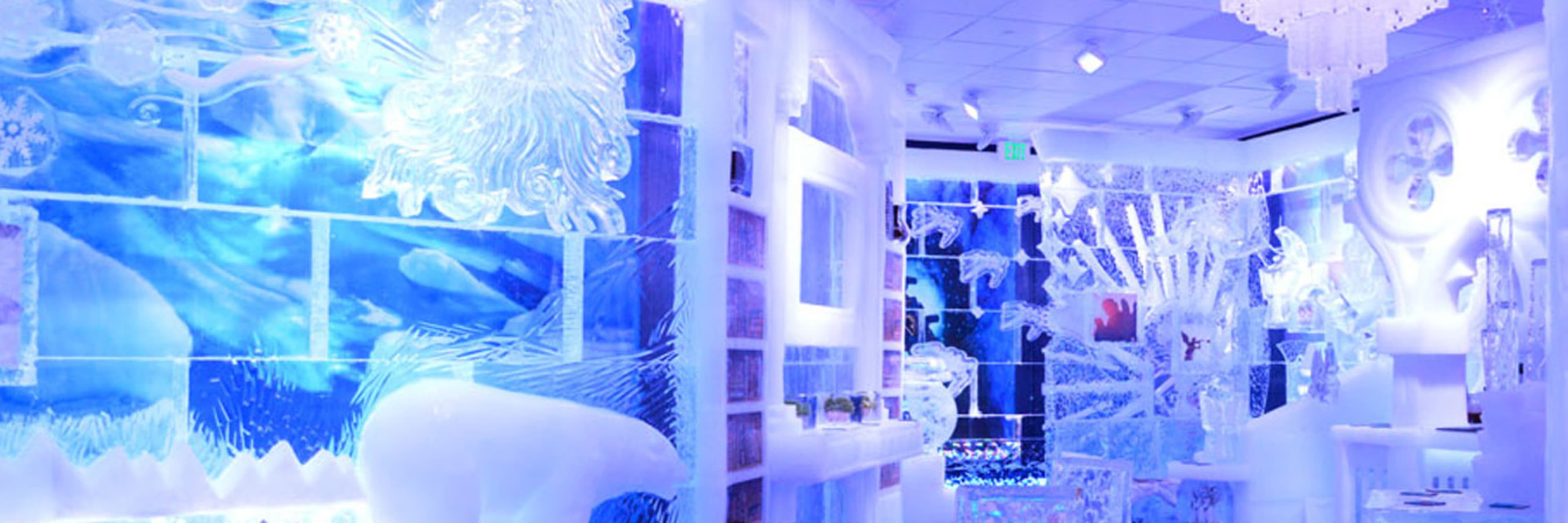 Ice Experience Entry at the Venetian Canal Shoppes | Go City®