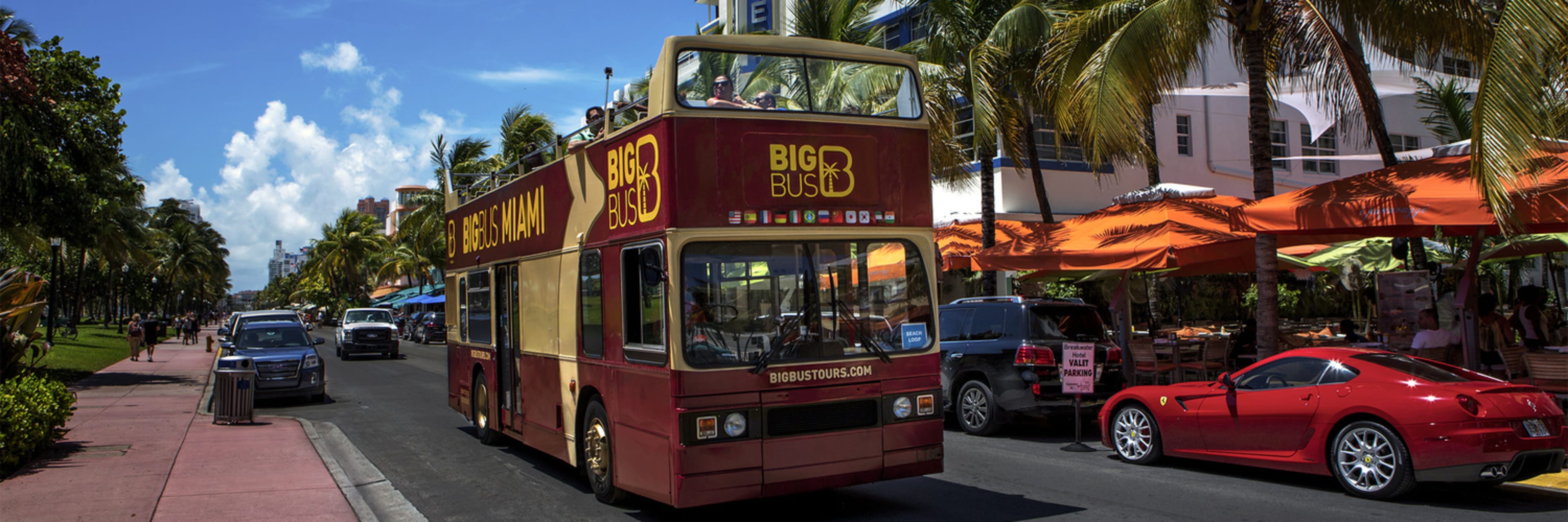 Hop On Hop Off Big Bus Miami Tour Tickets | Discounts Go Miami