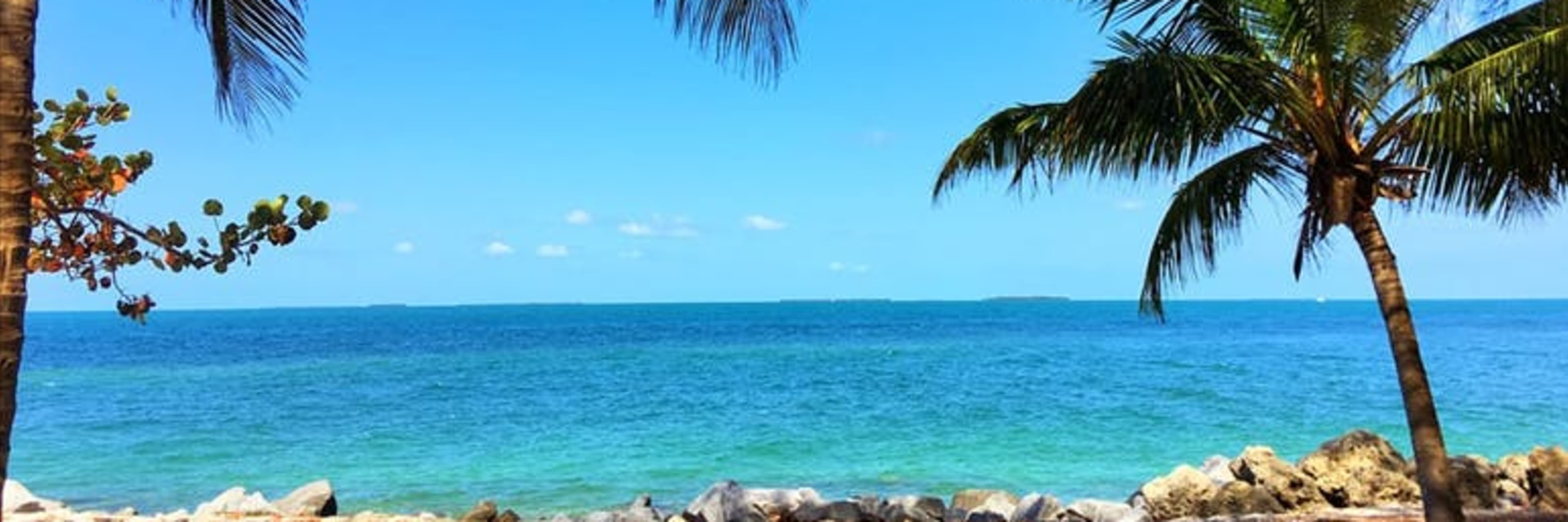 Island Safari Bike Rentals Tickets | Save With Go Miami | Admission Included