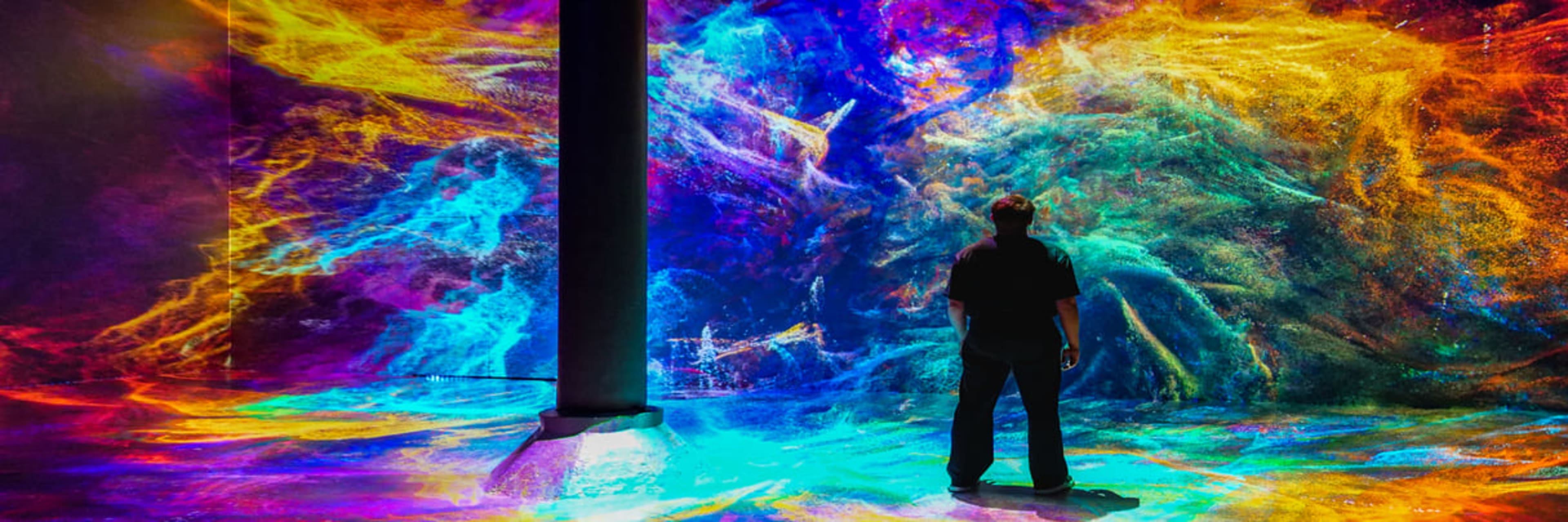 ARTECHOUSE New York | The New York Pass®