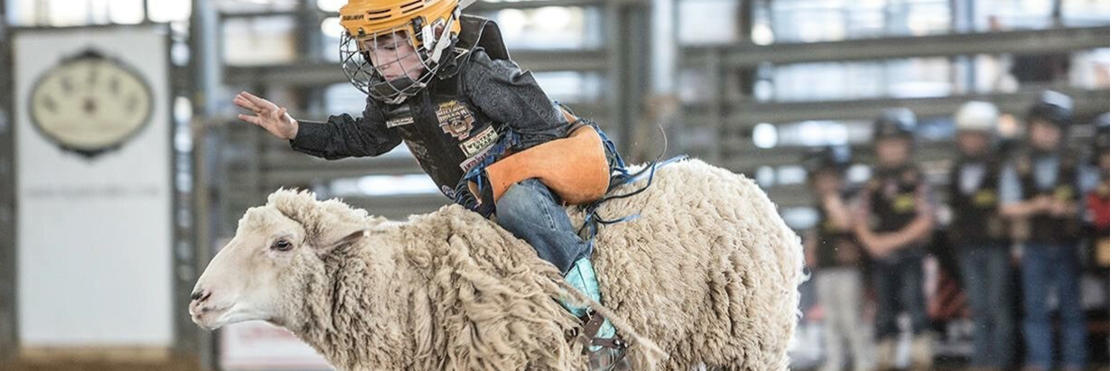 Tejas Rodeo Company Discount Tickets | Free With Go San Antonio ...