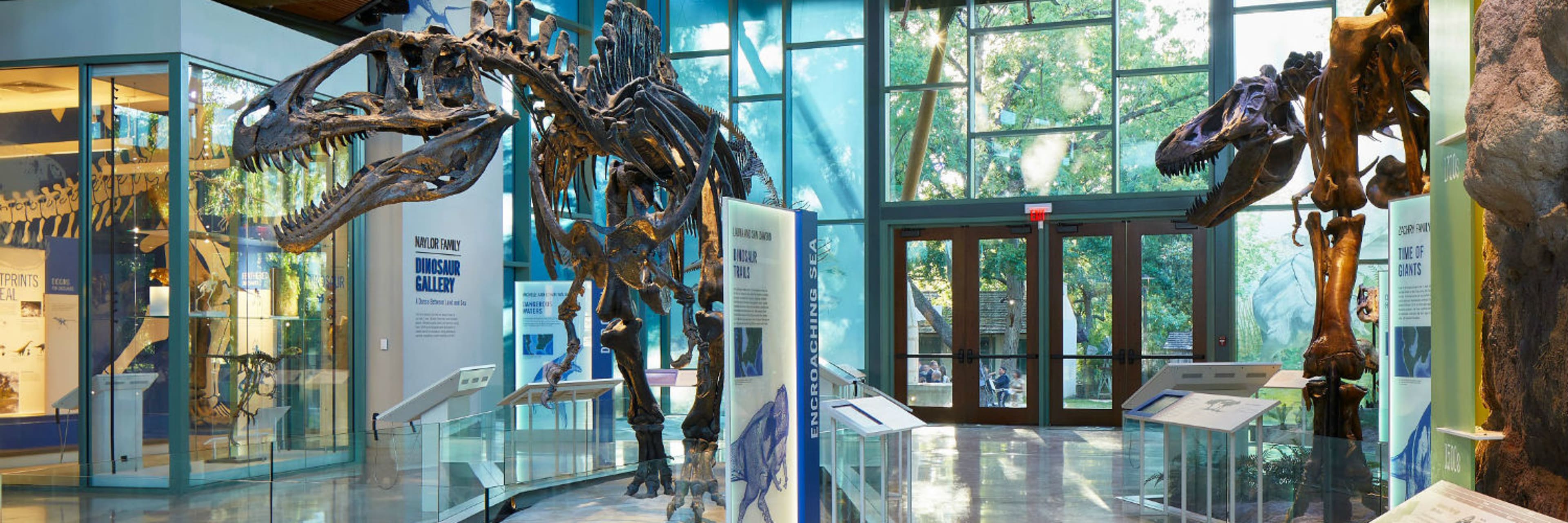 Witte Museum Discount Tickets | Go San Antonio Pass