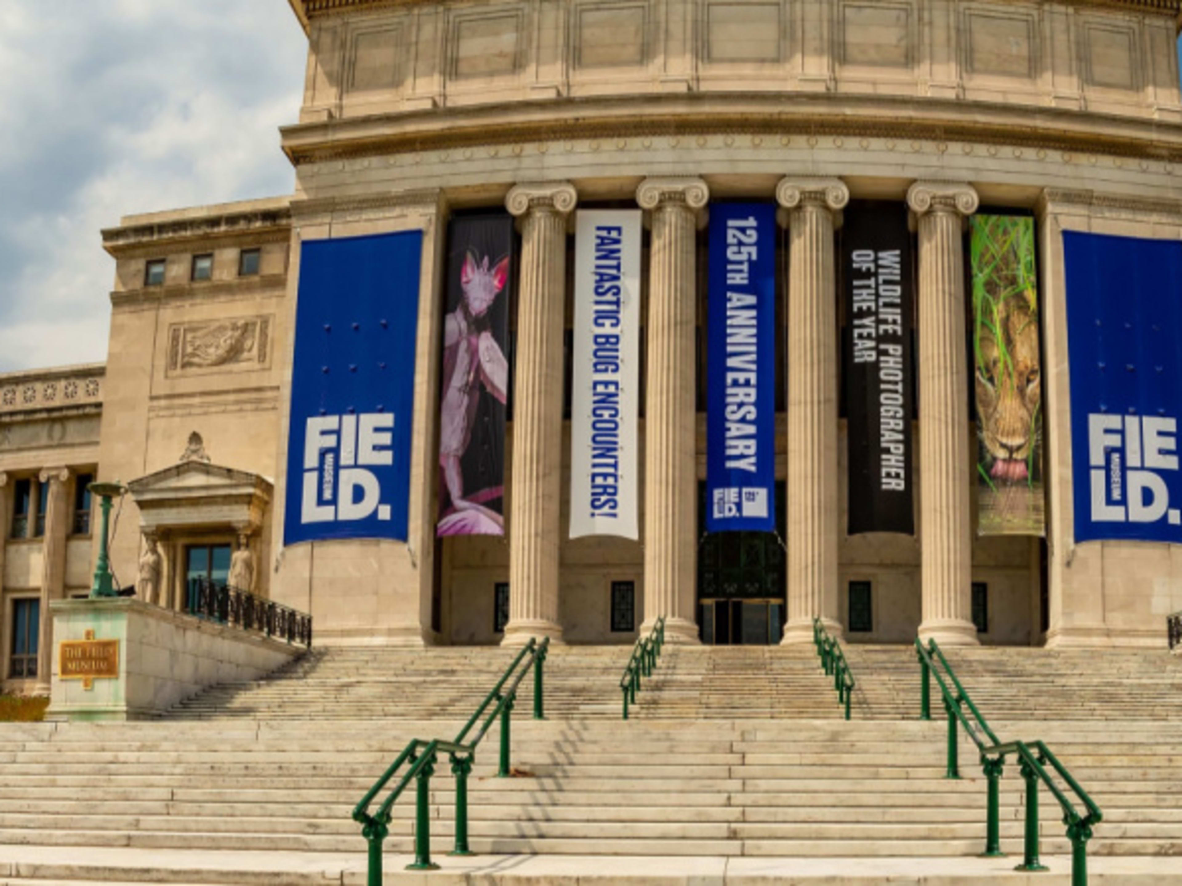 Guide to the Field Museum | GoCity®