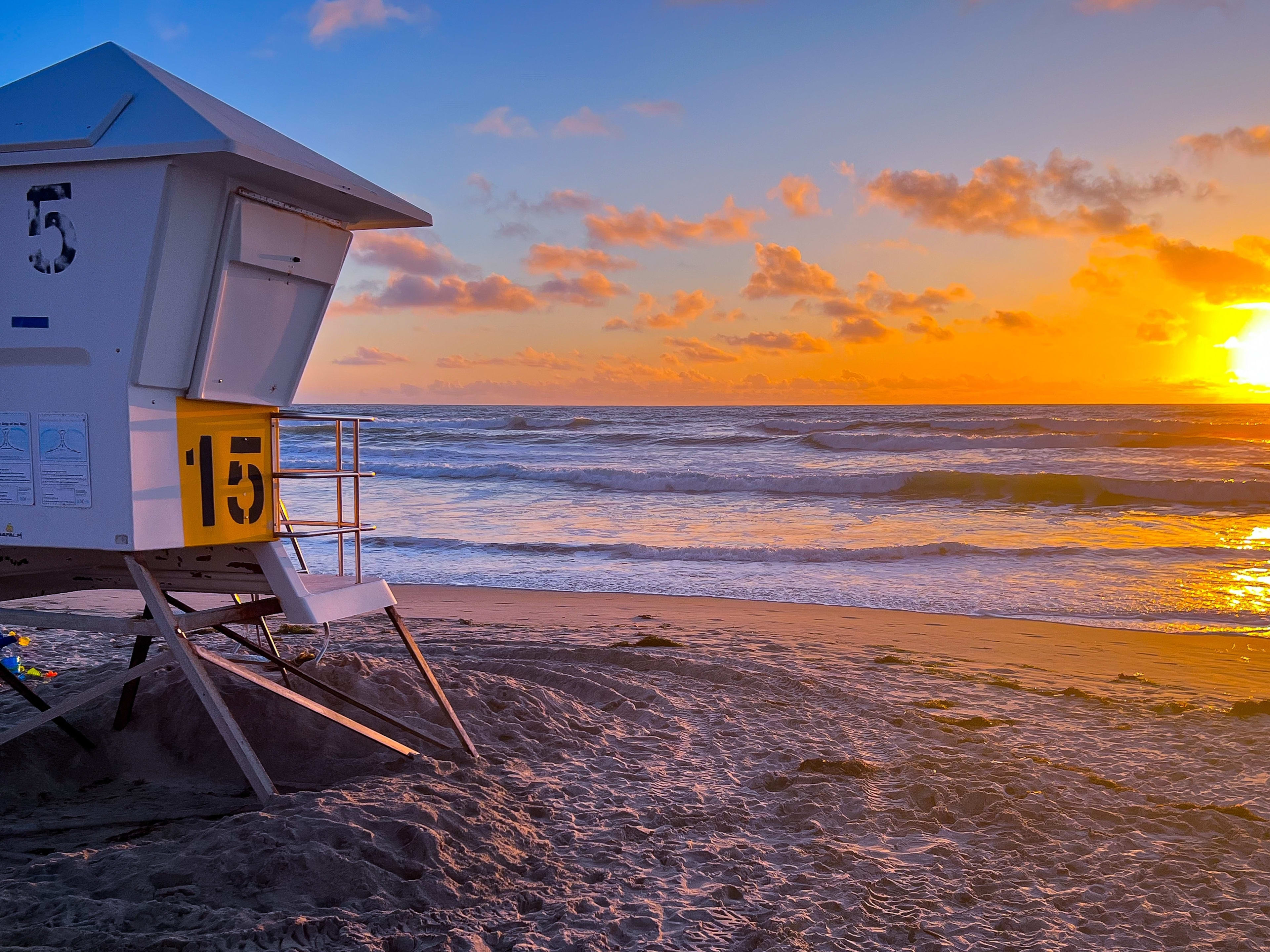 Cose da fare a San Diego a giugno | Go City®