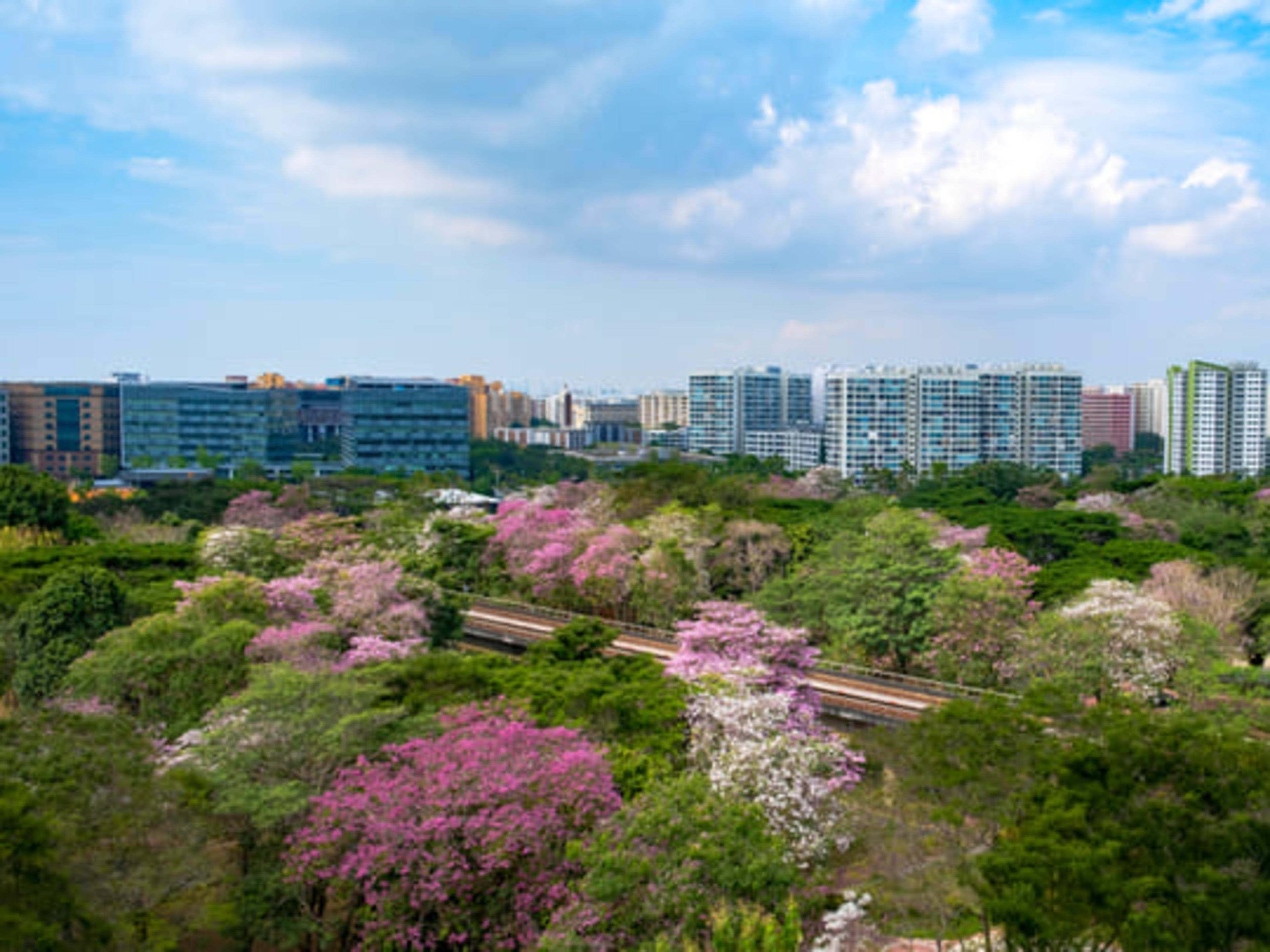 Things to do in Tampines Singapore | Go City®