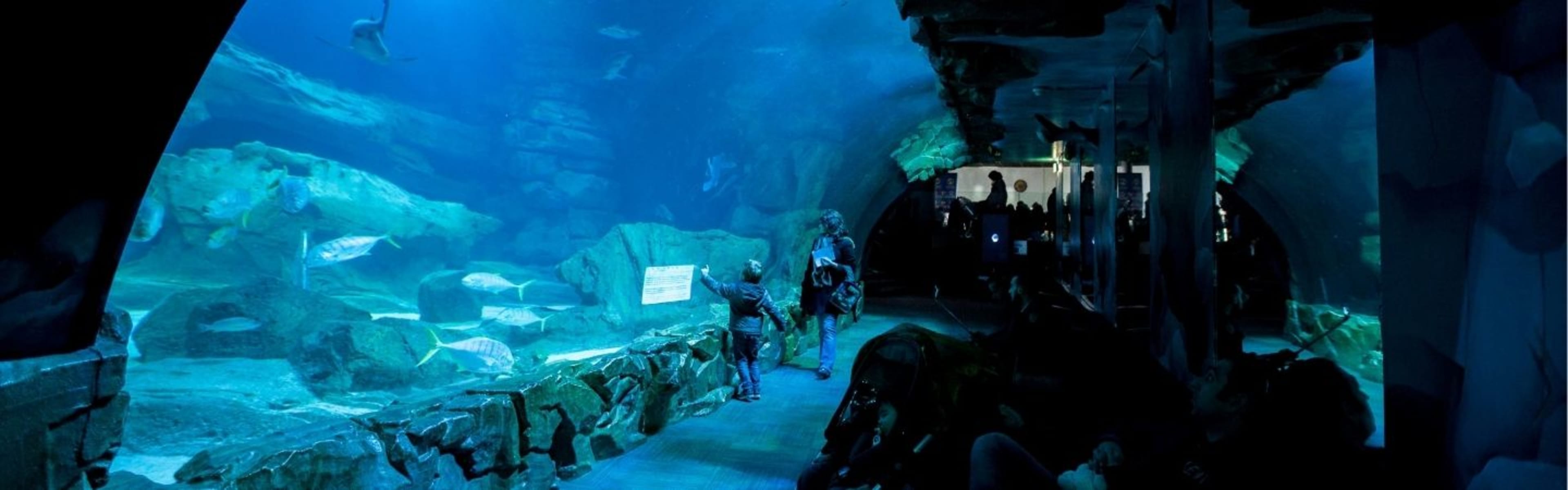 Aquarium de Paris Tickets | Free Entry with The Paris Pass