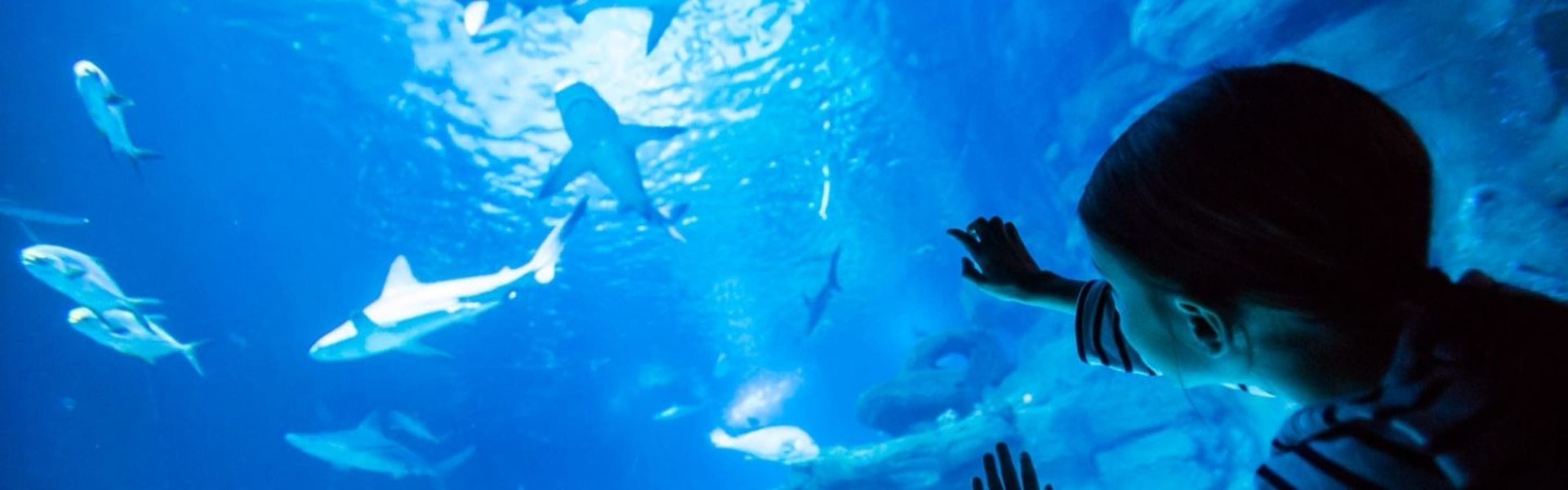 Paris Aquarium Cineaqua | Save with a Go Paris pass