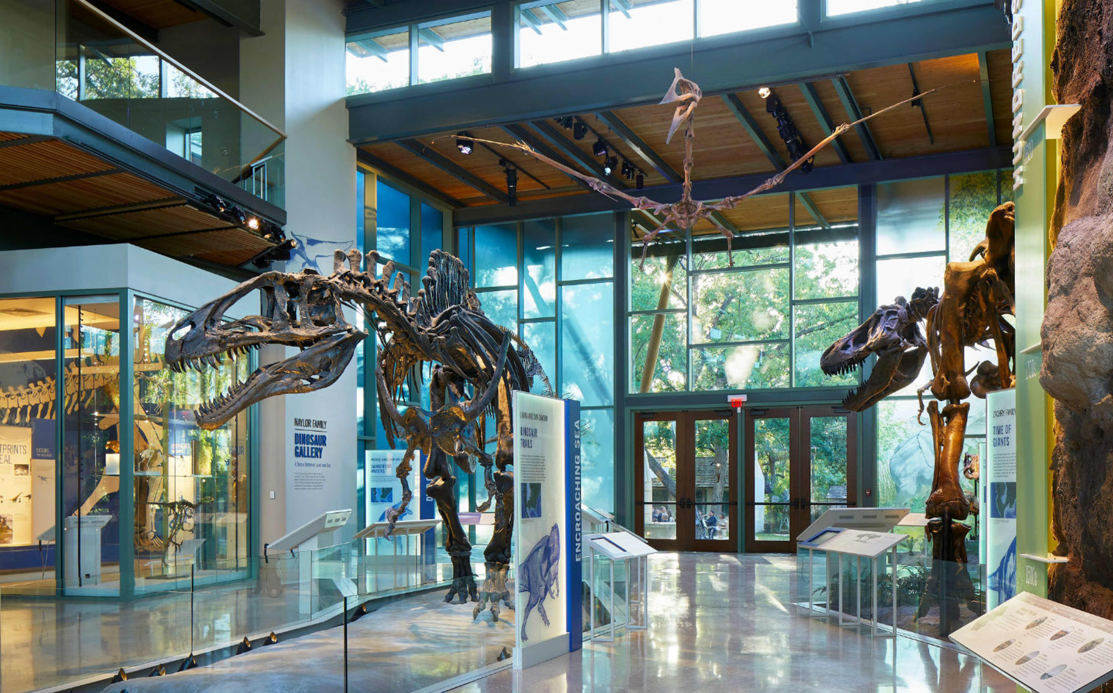 Witte Museum Discount Tickets | Go San Antonio Pass