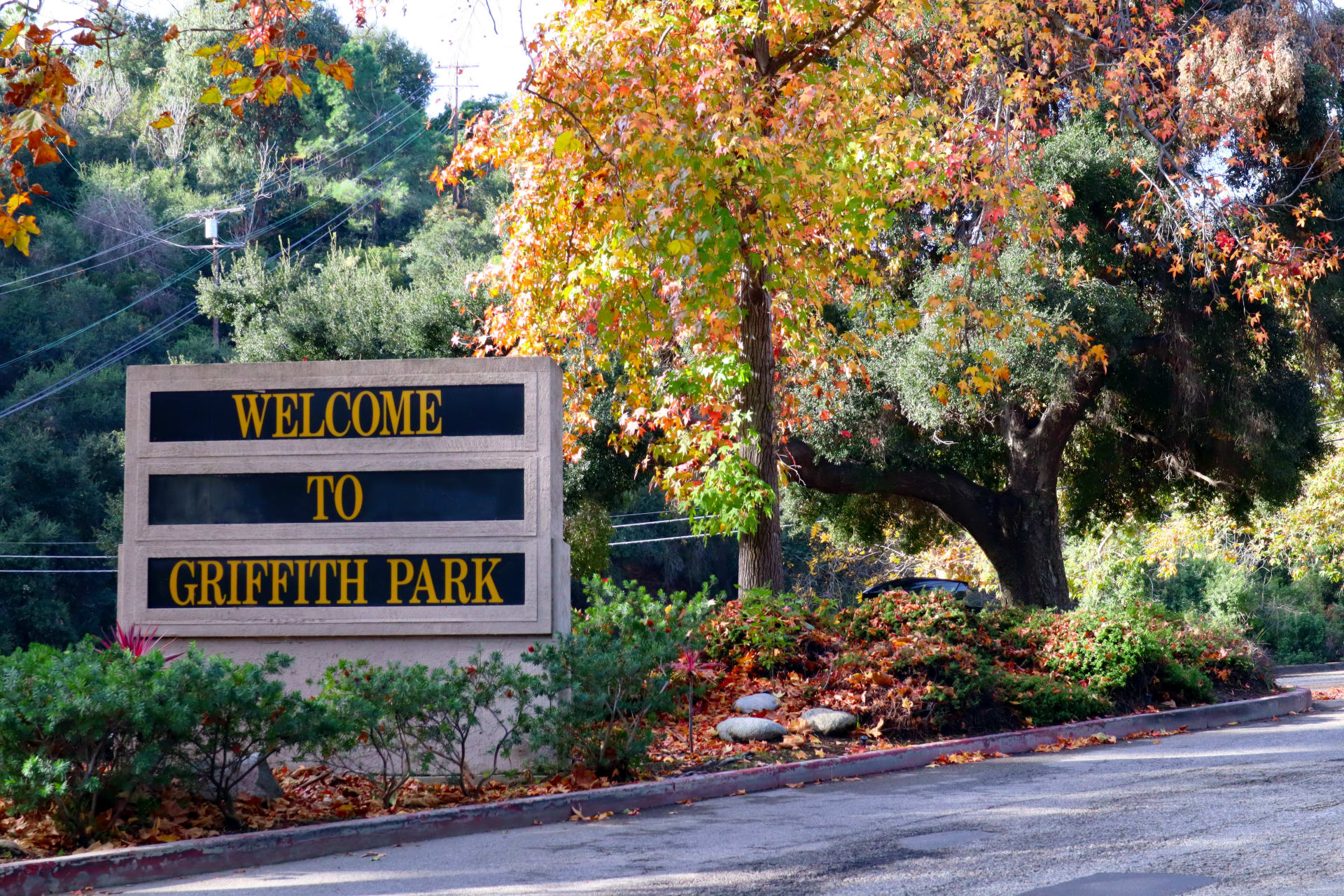 Los Angeles Spring Break - Fun Things to Do in February, March & April