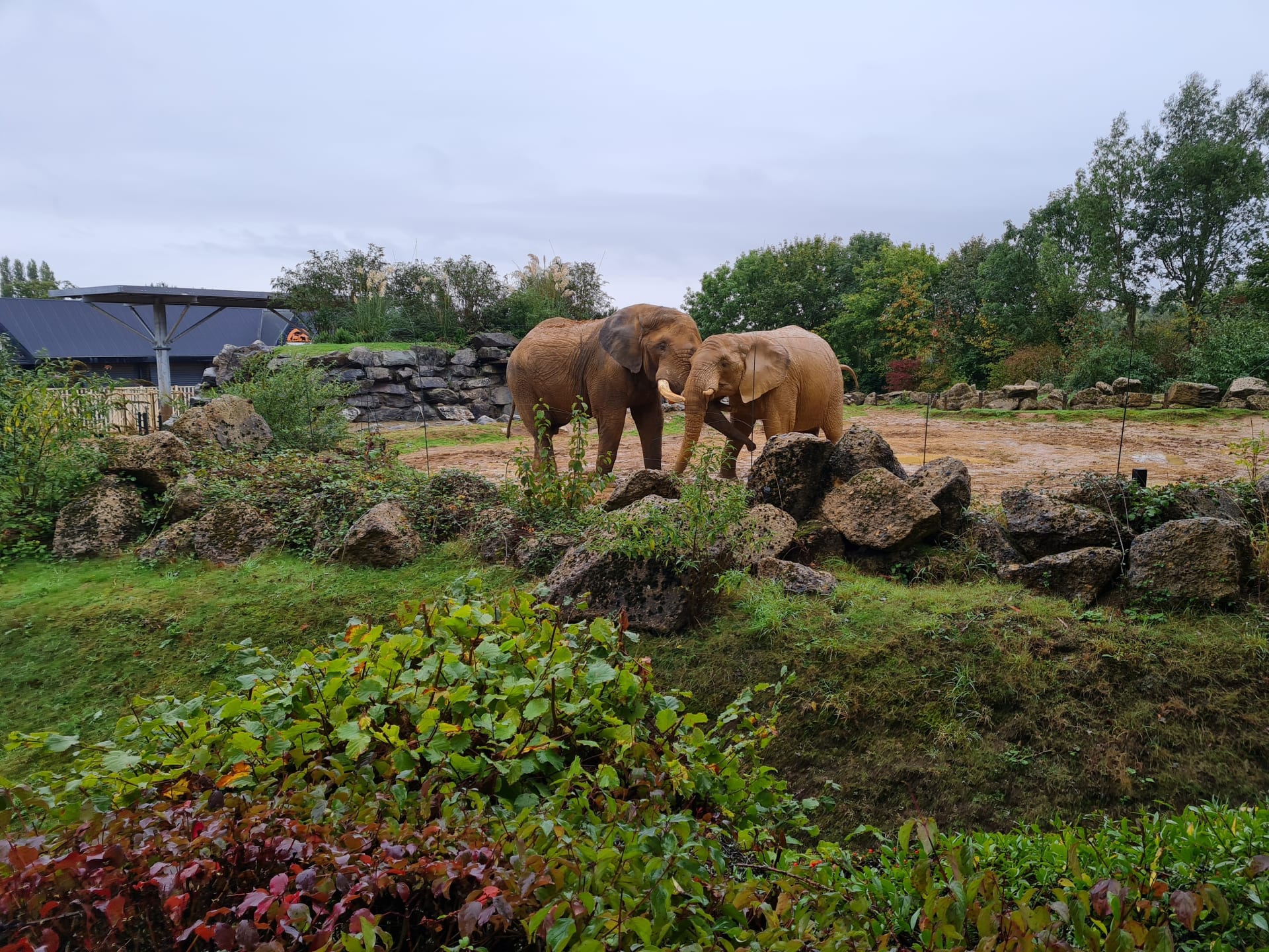 Top London Zoo facts that you didn't already know! | The London Pass®