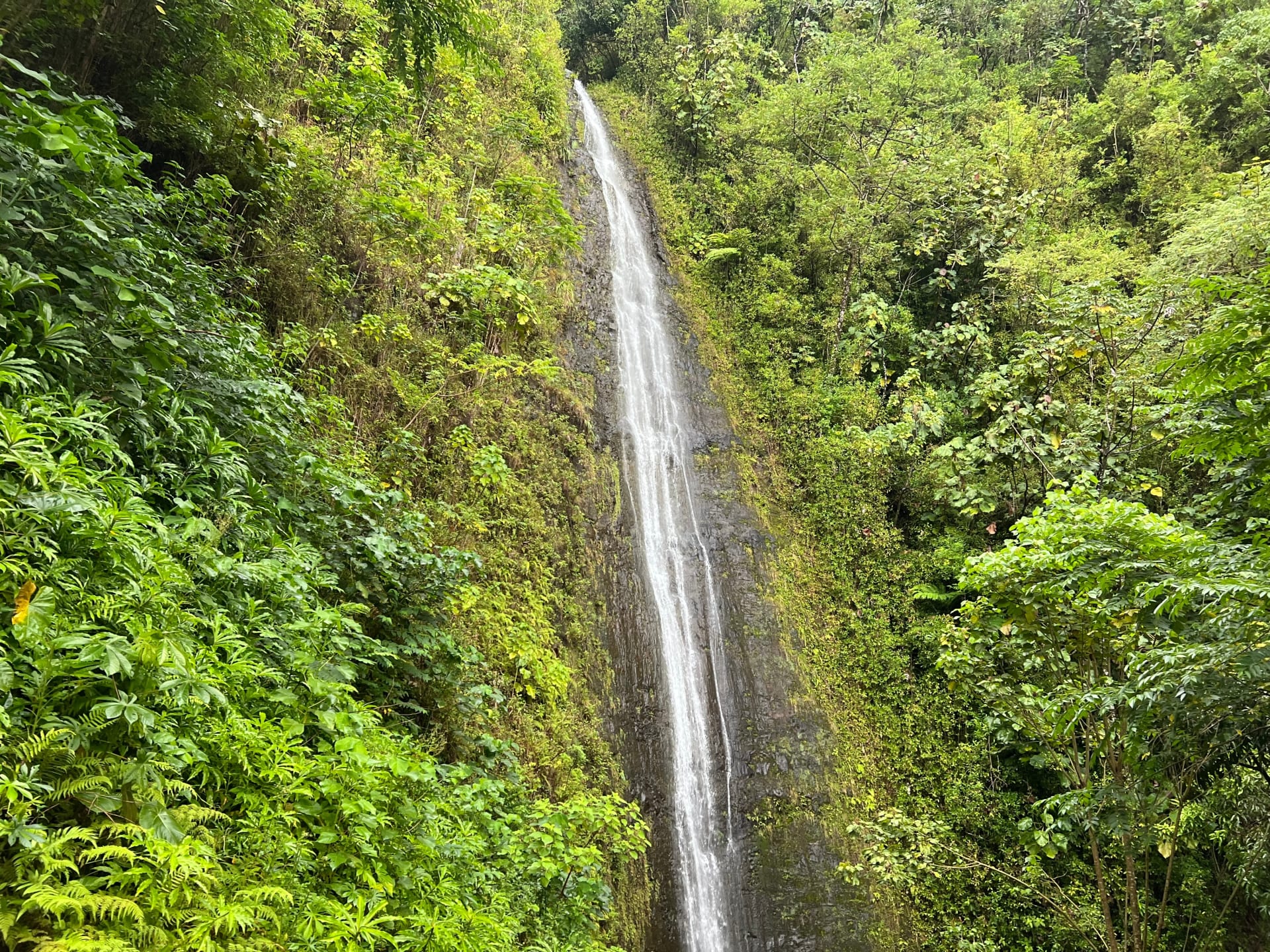 The Best Waterfalls in Oahu, Hawaii - Go City