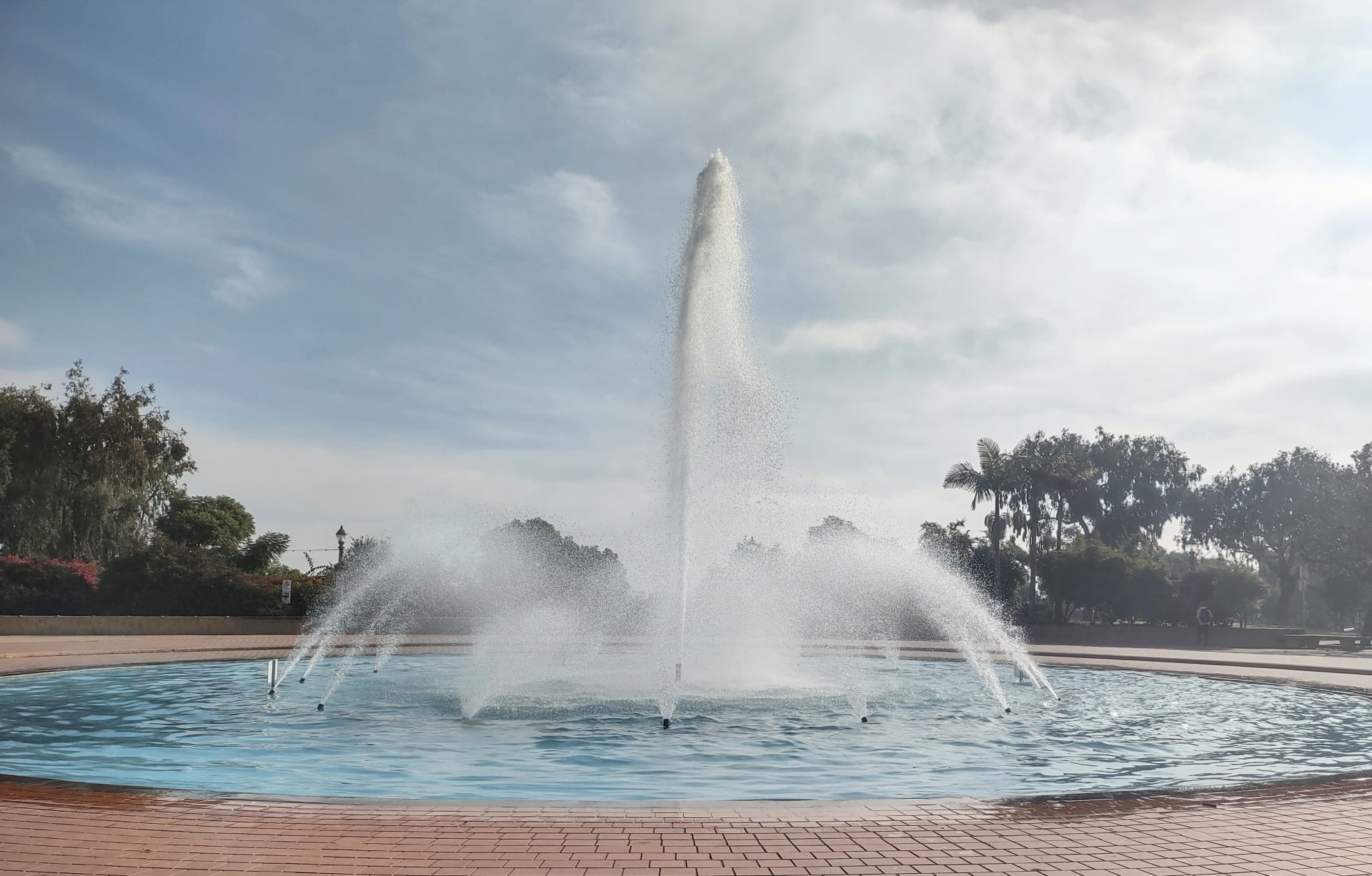 サンディエゴ自然史博物館周辺で人気のアクティビティ5選