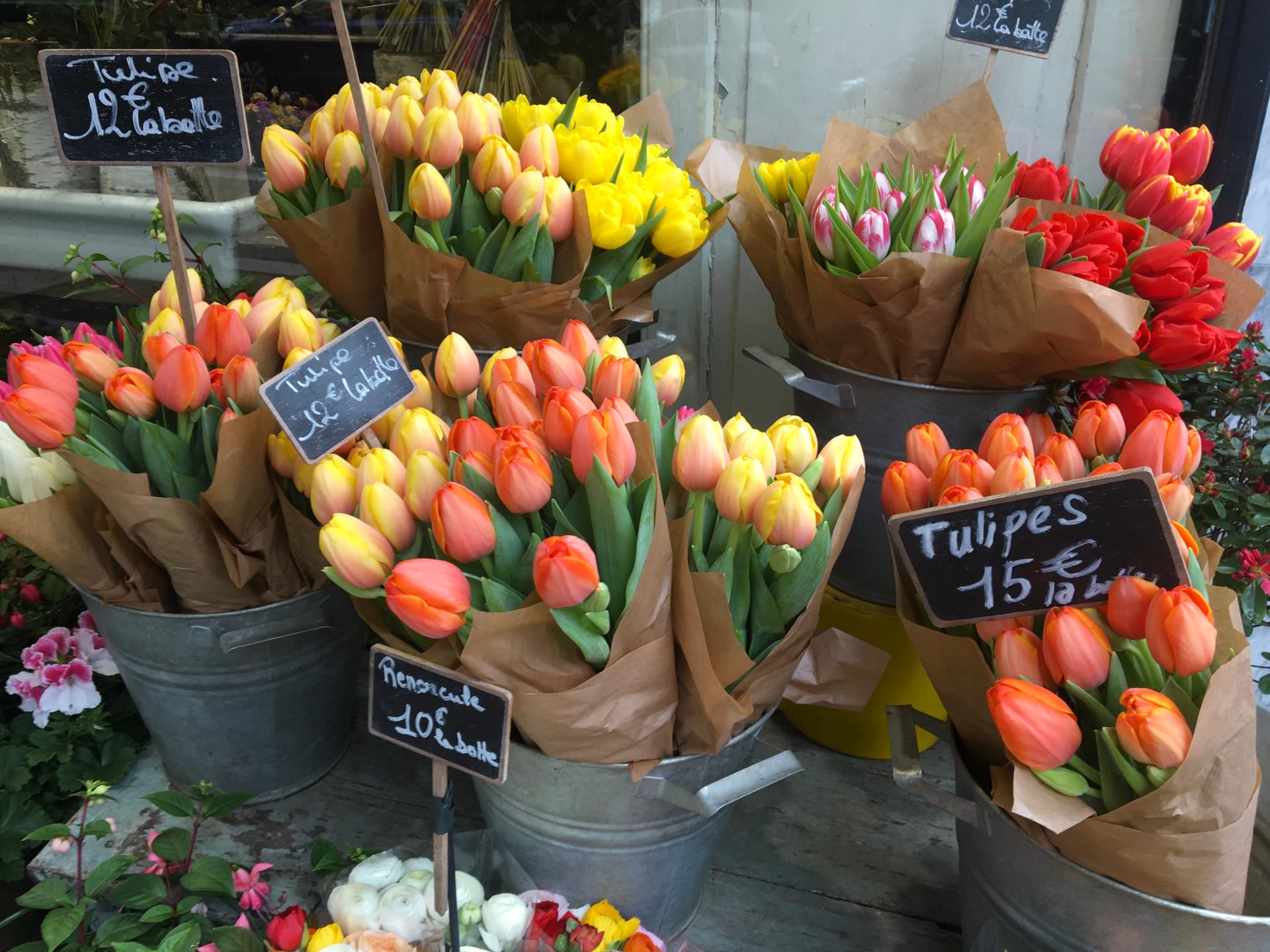 Cose da fare gratis vicino a Notre-Dame | The Paris Pass®