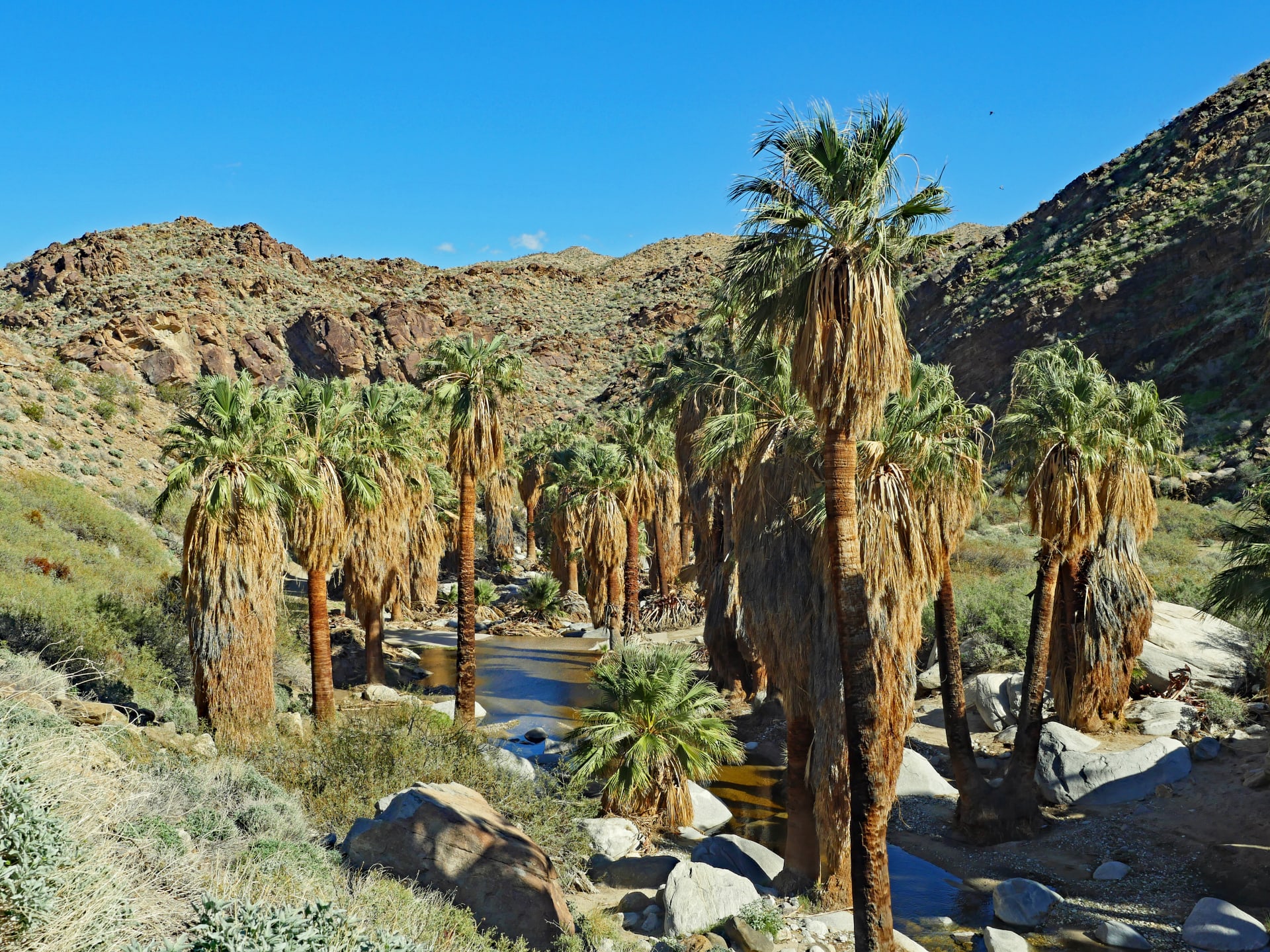 Go City® | Site web officiel | Pass pour visiter New York, Londres et ...