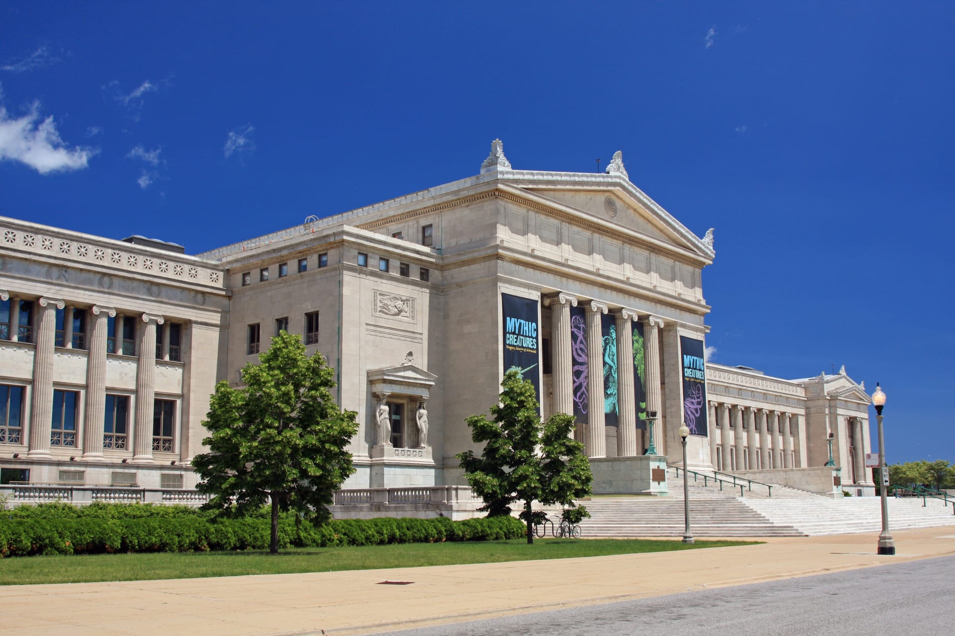 The Field Museum Discount Tickets & Tips - Save Up to 55% Off