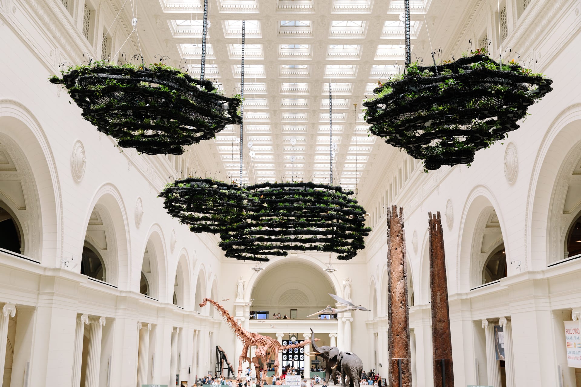 The Field Museum Discount Tickets & Tips - Save Up to 55% Off